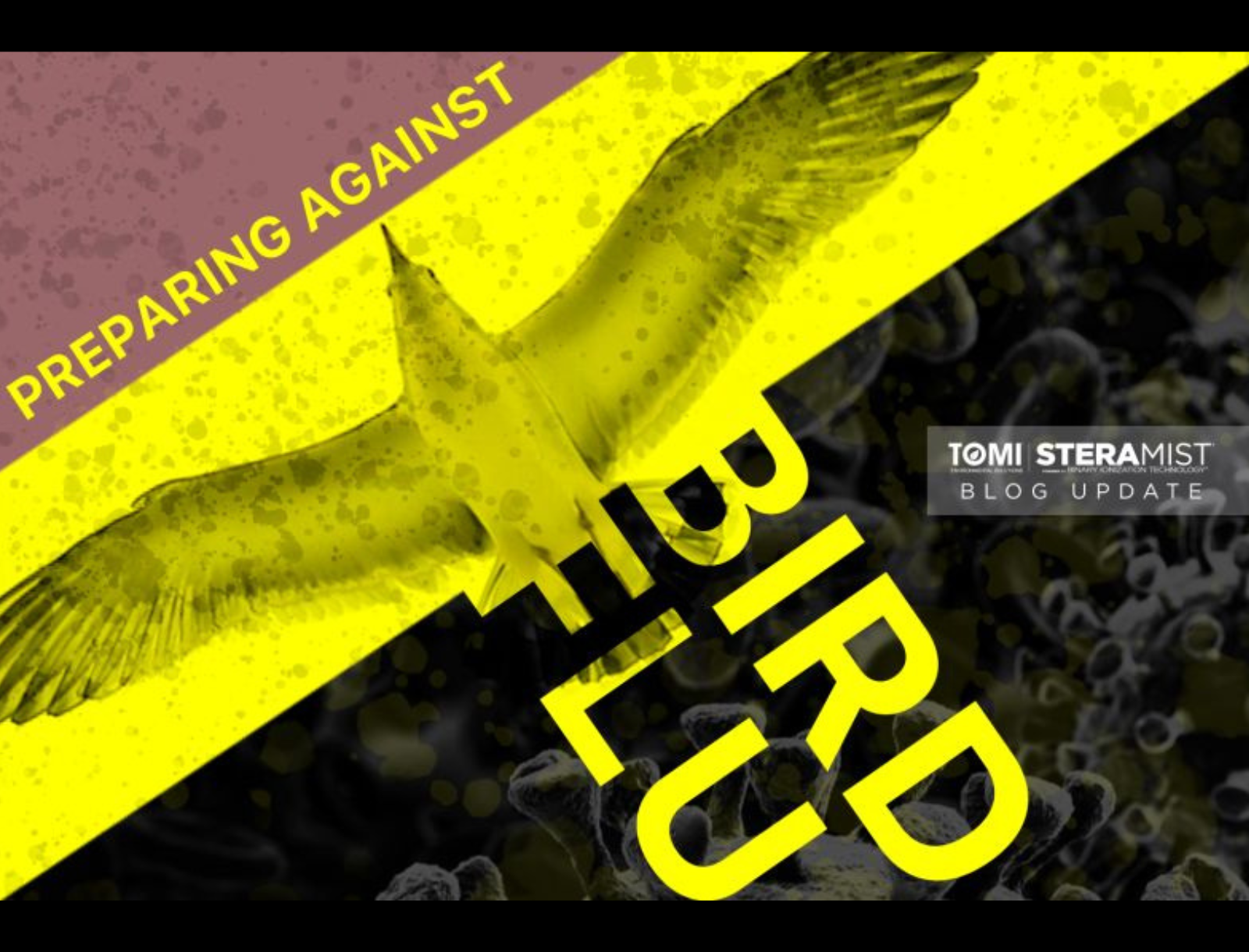 Bird Flu Is Back With Global Concern - SteraMist